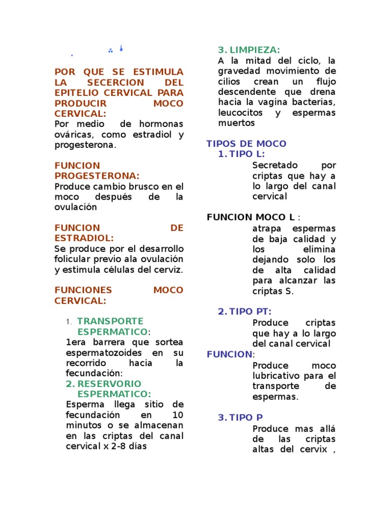 Tipos y funciones del moco cervical | PDF | Semen | Estradiol