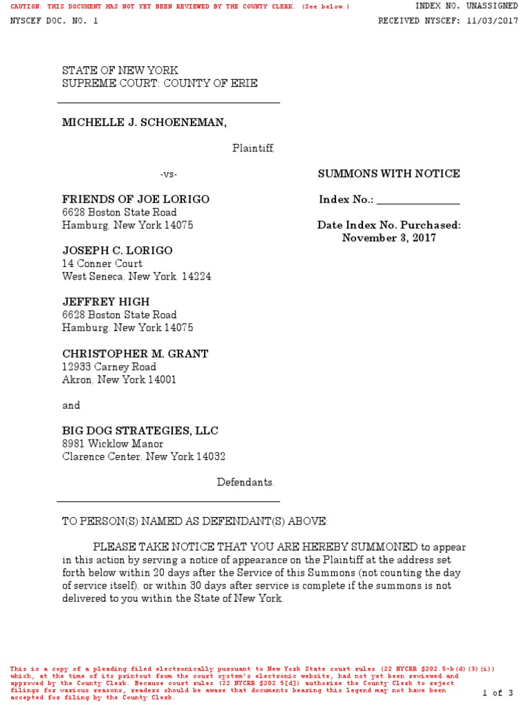 Electronically FIled Summons With Notice | PDF