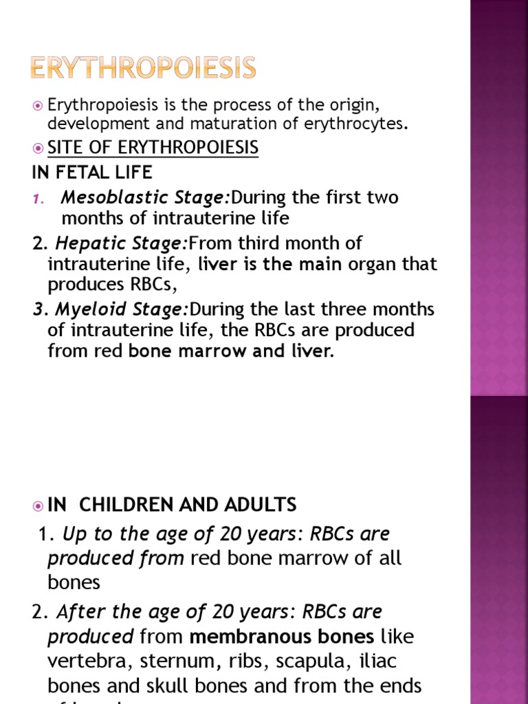 Erythropoiesis (3) | Vitamin B12 | Red Blood Cell