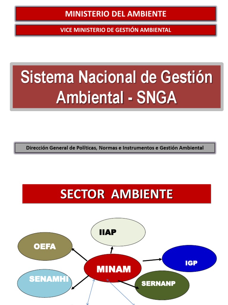 SNGA | PDF | Formas de gobierno | Gobierno