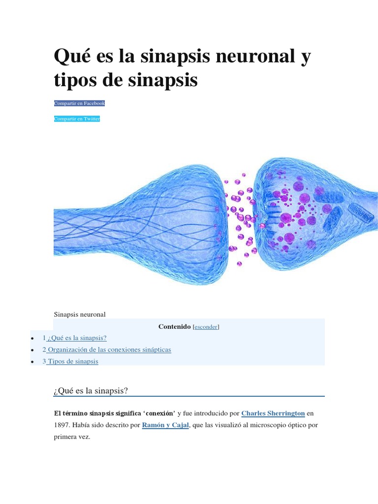 Qué Es La Sinapsis Neuronal y Tipos de Sinapsis | Sinapsis | Neurona