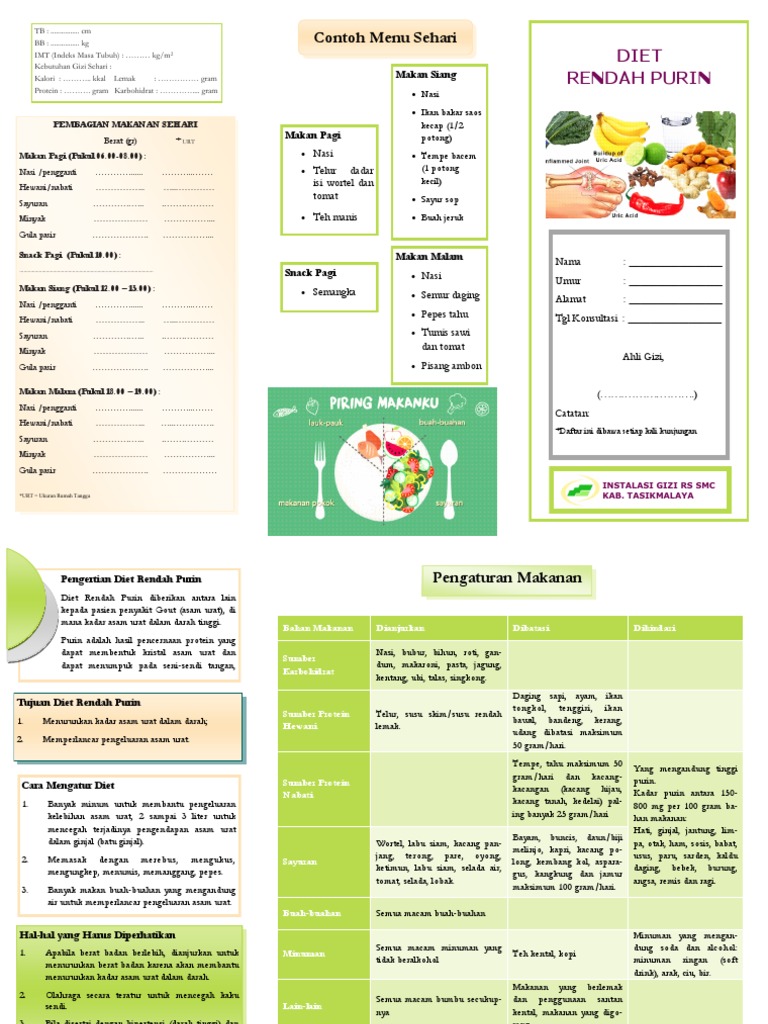 Leaflet Diet Rendah Purin | PDF