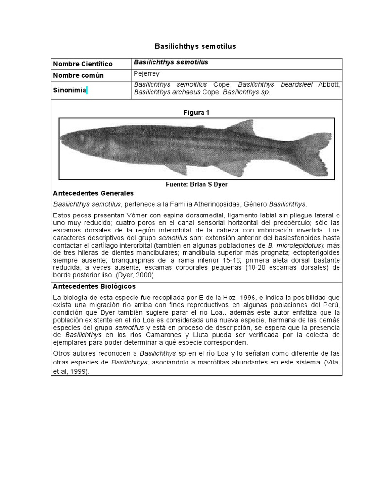 Basilichthys Semotilus | PDF | Río | Especies