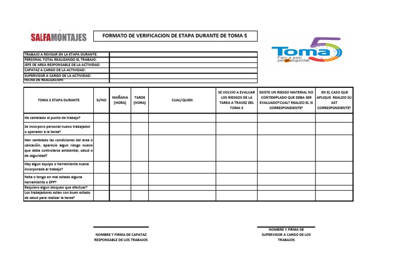 Formato de Verificación de Etapa Durante Toma 5 PDF | PDF