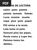 Dictado Letra P | PDF