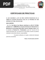 Informe Final de Practicas Preprofesionales | PDF | Educación primaria | Aprendizaje