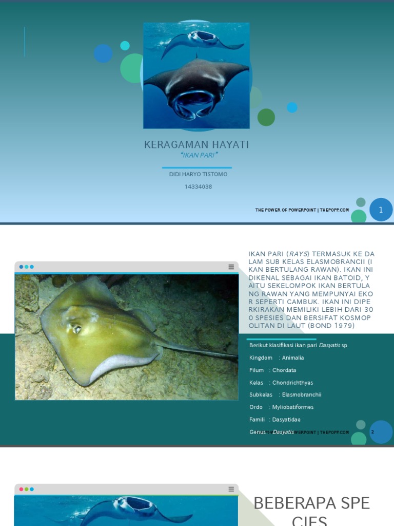 Ikan Pari New | PDF | Kesehatan Holistik