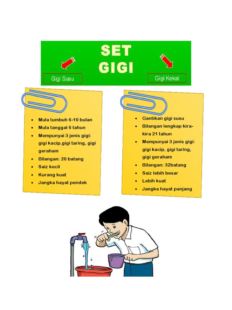 Gigi Susu Kekal | PDF