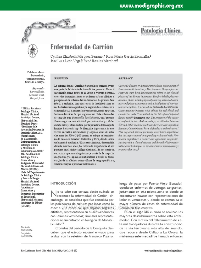 Enfermedad de Carrión | PDF | Especialidades Medicas | Medicina CLINICA