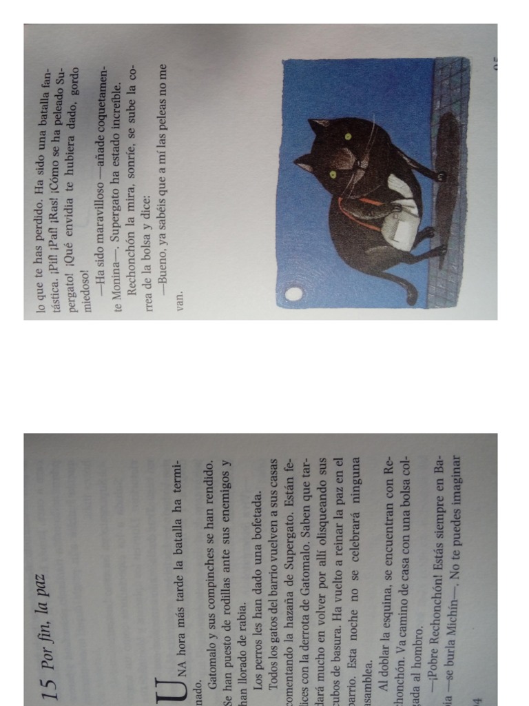 Libro El Super Gato | PDF