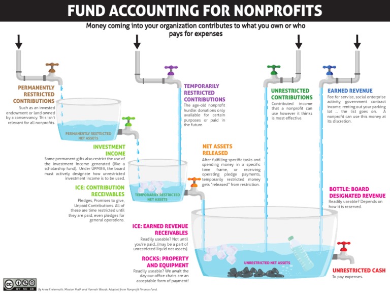 Fund Acctg Buckets Infographic 2016 | PDF | Fund Accounting | Revenue