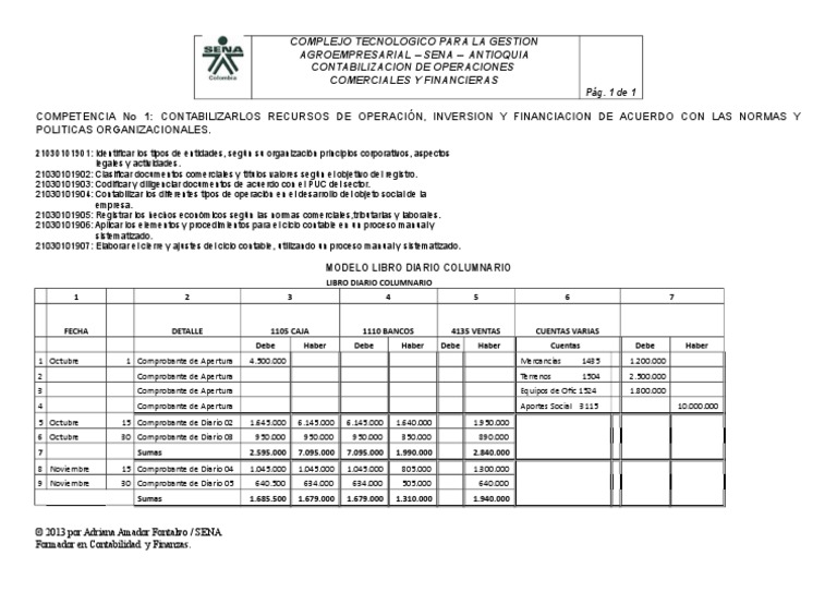 Modelo de Libro Diario Columnario.doc | Contabilidad | Economias
