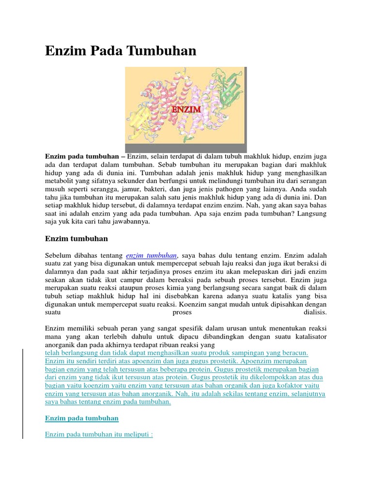 Enzim Pada Tumbuhan | PDF | Pengembangan Diri | Kesehatan Holistik