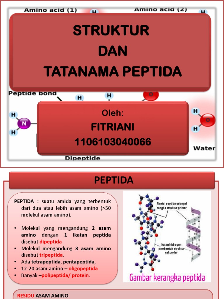 Peptida | PDF