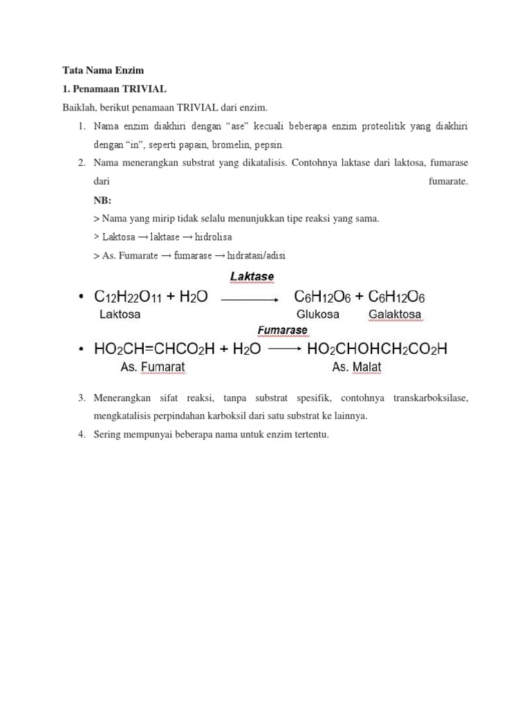 Tata Nama Enzim | PDF