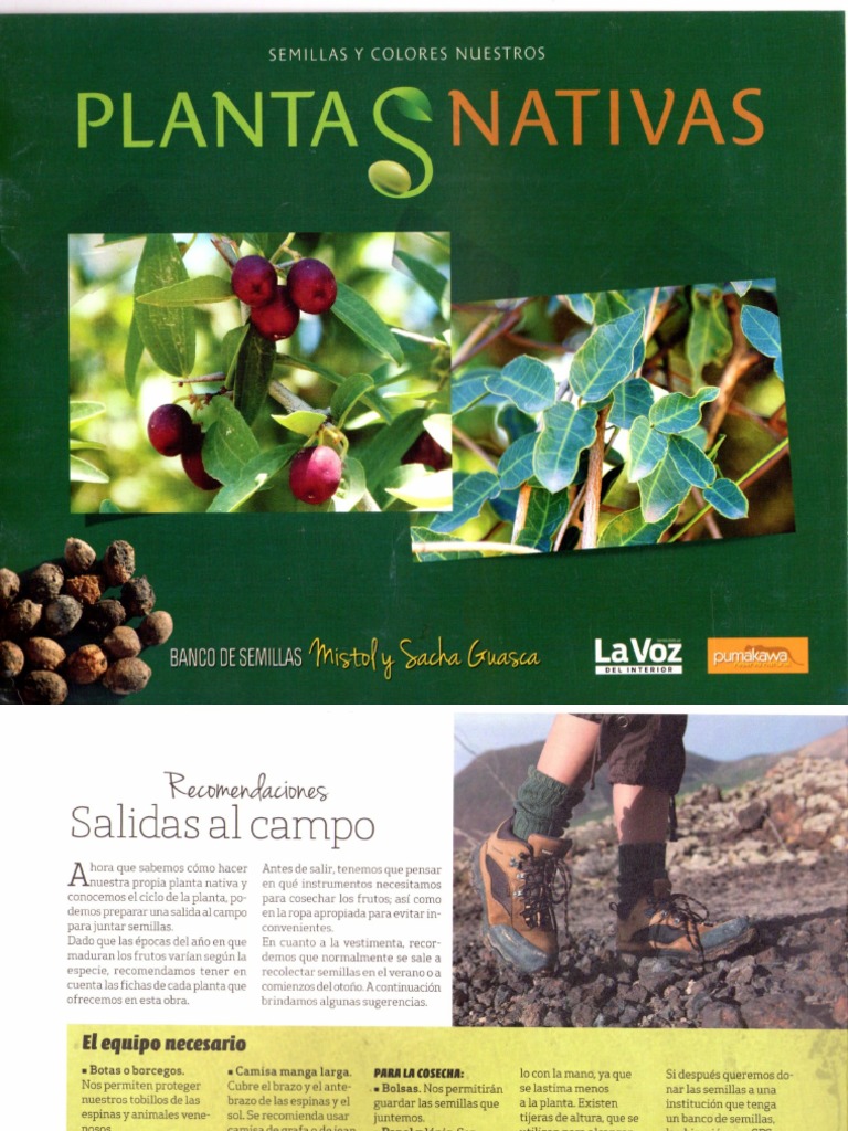 Mistol y Sacha Guasca PDF | PDF