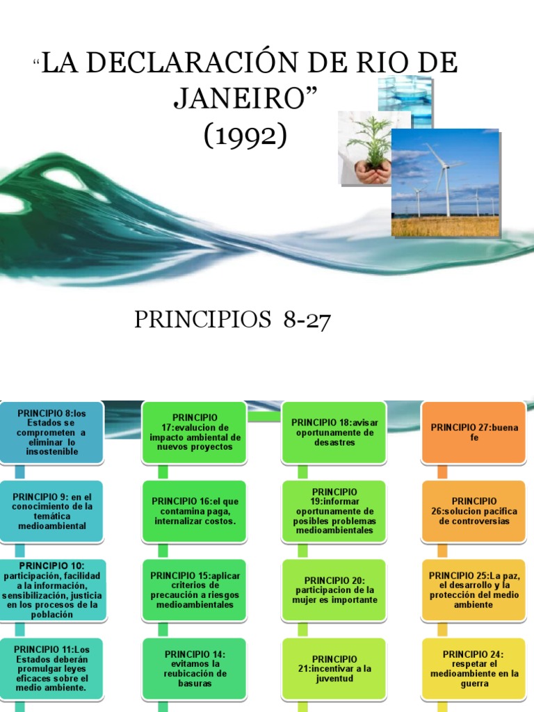 La Declaración de Rio de Janeiro | Sustentabilidad | Perú