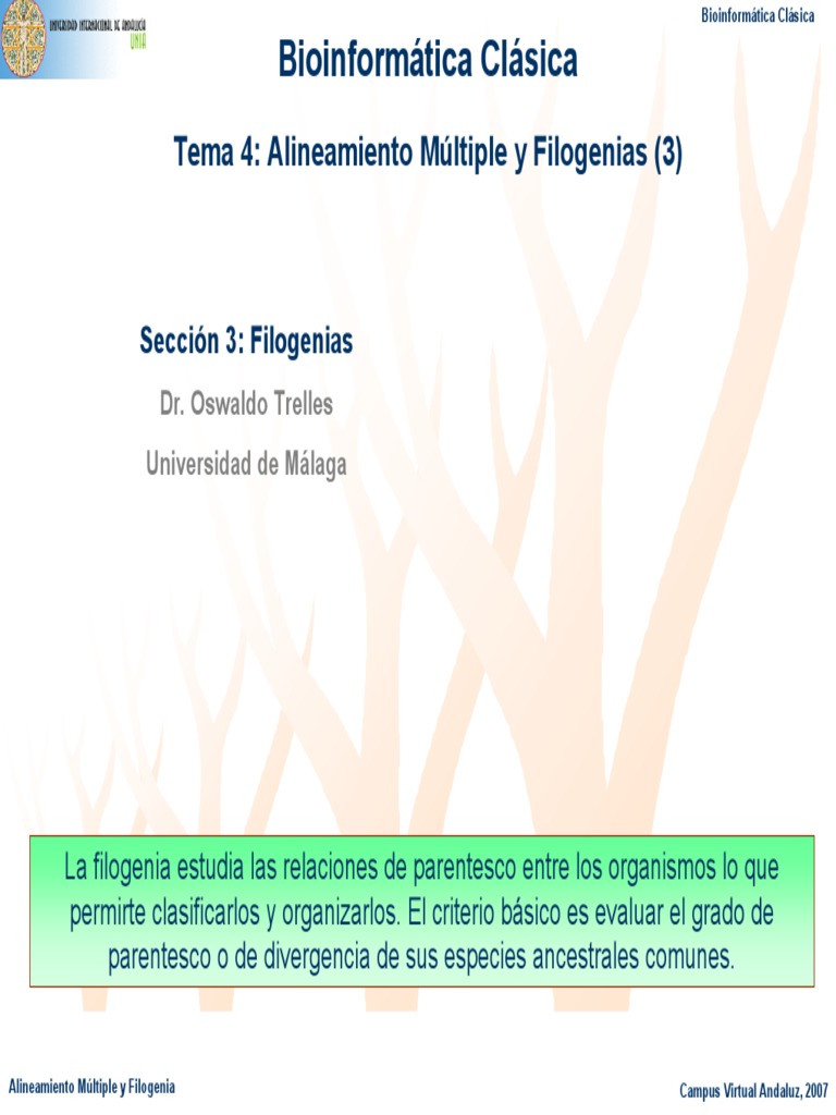 Filogenia Molecular | PDF | Alineación de secuencia | Bioinformática