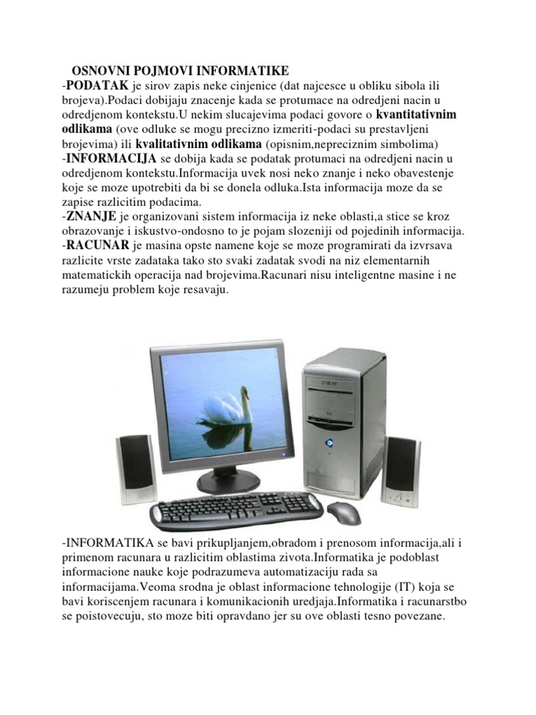 Osnovni Pojmovi Informatike | PDF