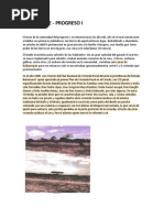 Historia de El Progreso | PDF | Política | Viajes y turismo