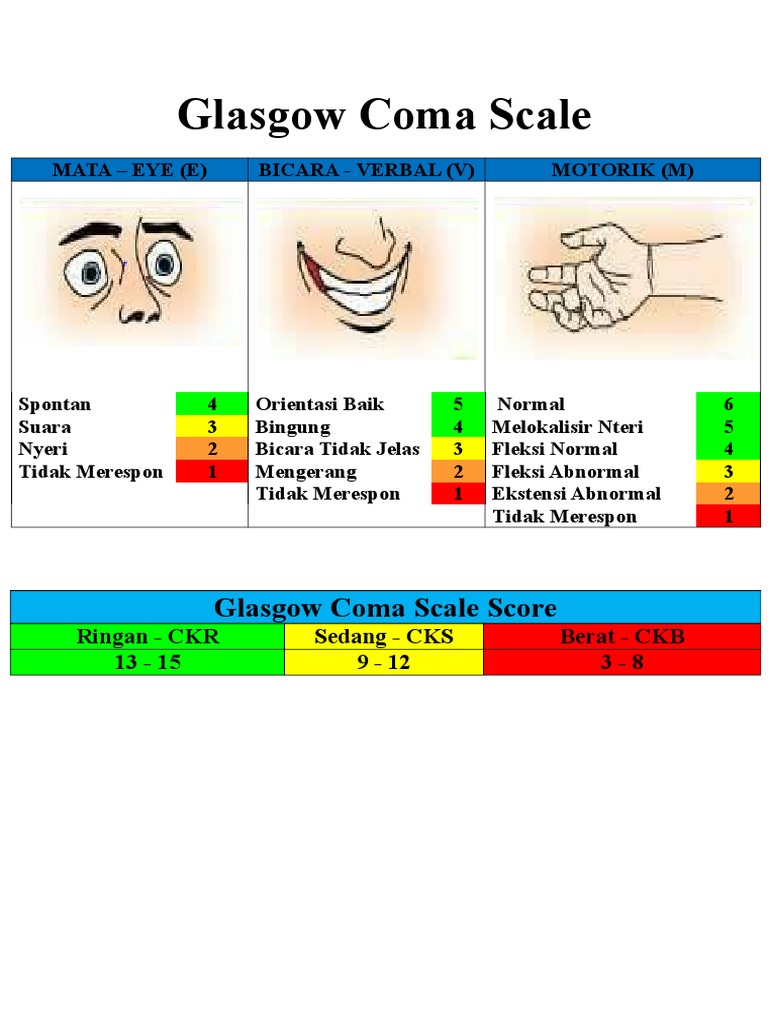 Score Glasgow Coma Scale | PDF