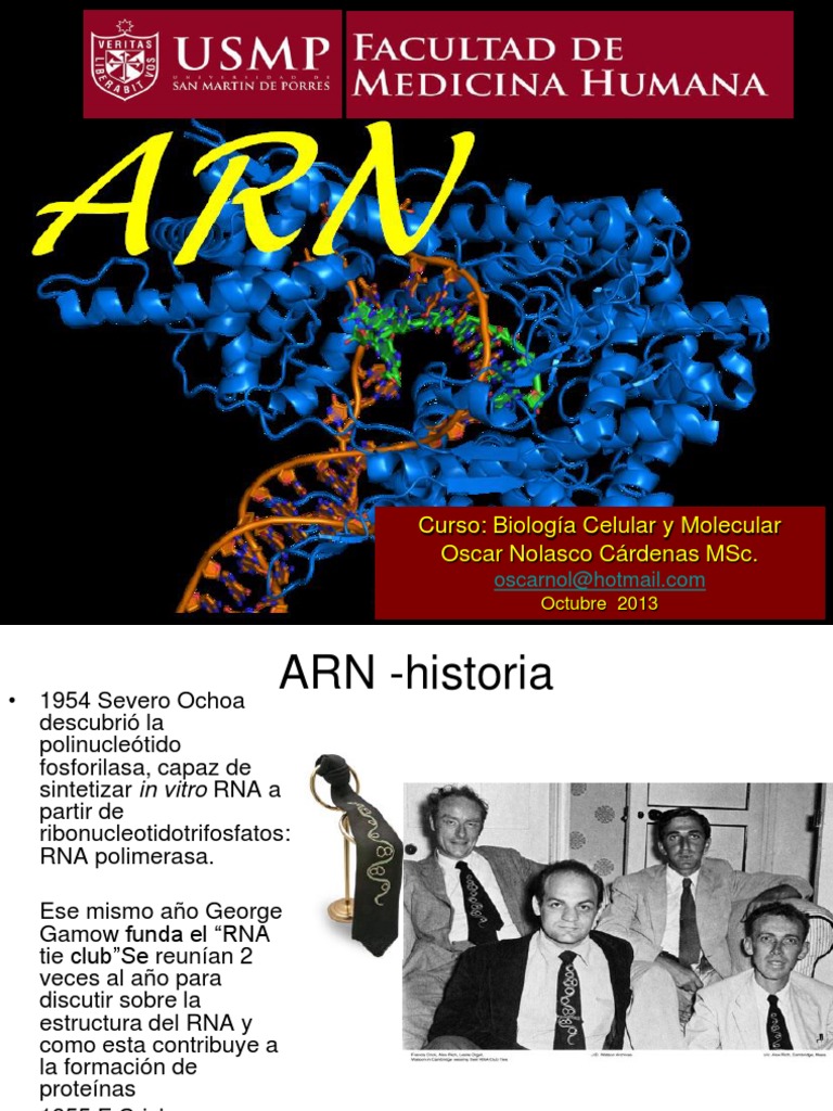 Arn | PDF | Rna | Messenger Rna