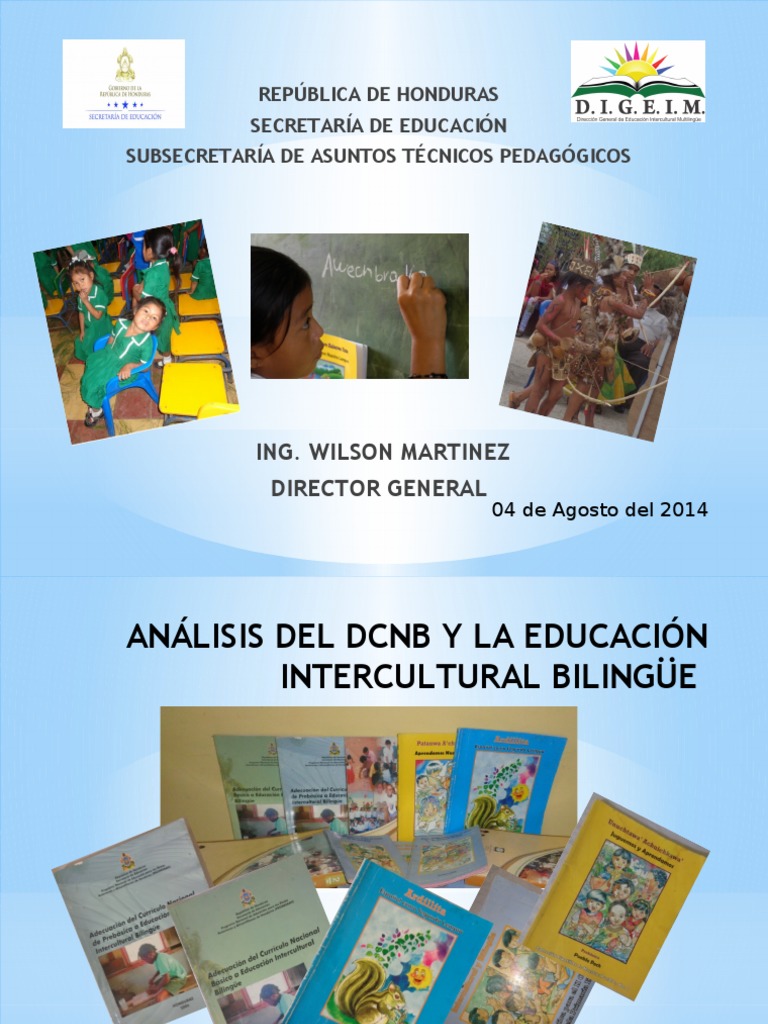 Analsis de DCNB y La Eib | Descargar gratis PDF | Plan de estudios ...