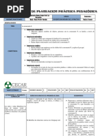 Plan de Clase Consonante P | PDF