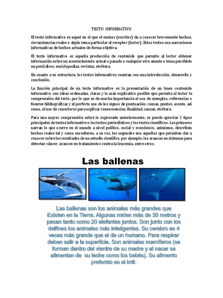 TEXTO INFORMATIVO.docx