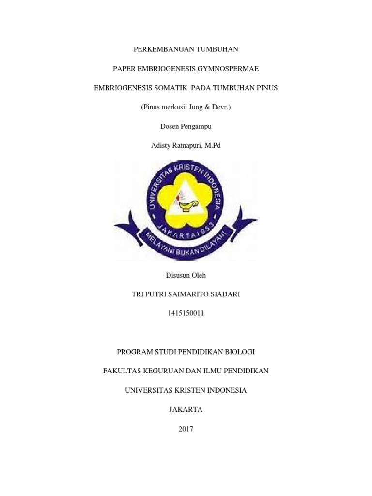 Embriogenesis Tumbuhan Pinus | PDF