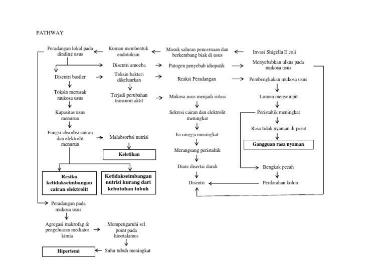 Pathway Disentri | PDF