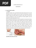 LP Appendicitis | PDF