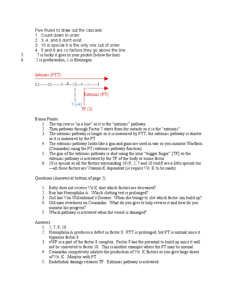 Clotting Cascade Cheat Sheet | PDF | Coagulation | Blood Proteins