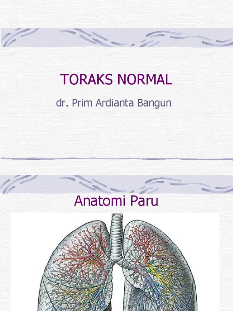 PP Bimbingan Koas Toraks Normal Dr. Prim | PDF