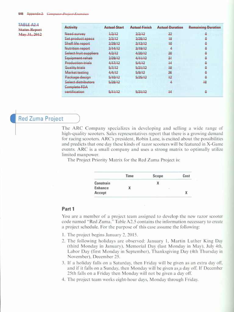 Red Zuma Project | PDF | Market (Economics) | Industries