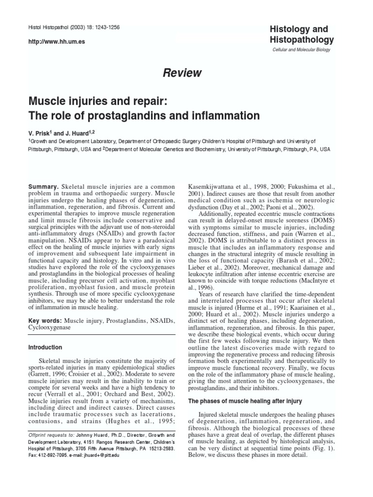 Muscle Injuries and Repair | PDF | Inflammation | Nonsteroidal Anti ...