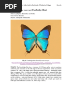 Chance Find Procedure Guide | PDF | Burial | Archaeology