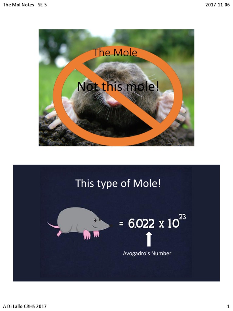 The Mole | PDF | Mole (Unit) | Atoms