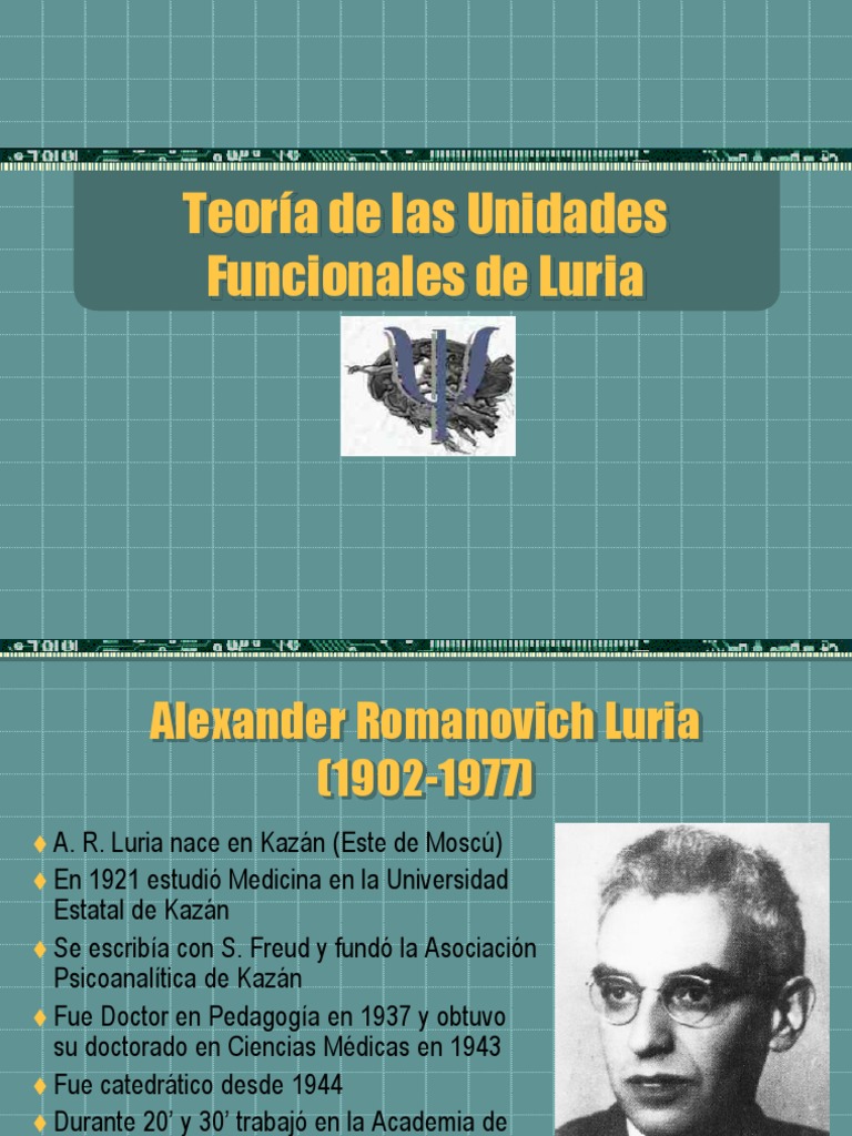 Teoria de Las Unidades Funcionales de Luria | PDF | Corteza cerebral ...
