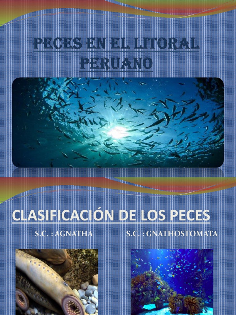 Peces en El Litoral Peruano