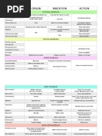 Cat Muscular System Overview | PDF | Foot | Vertebral Column