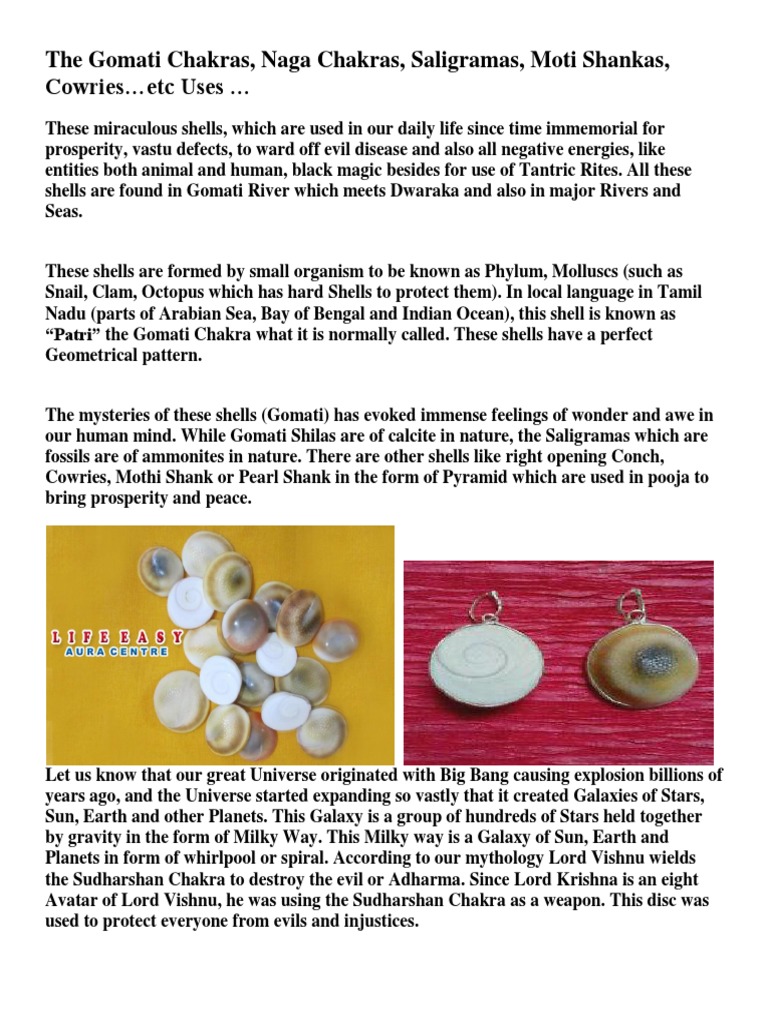 The Gomati Chakras, Naga Chakras, Saligramas, Moti Shankas, Cowries Etc ...