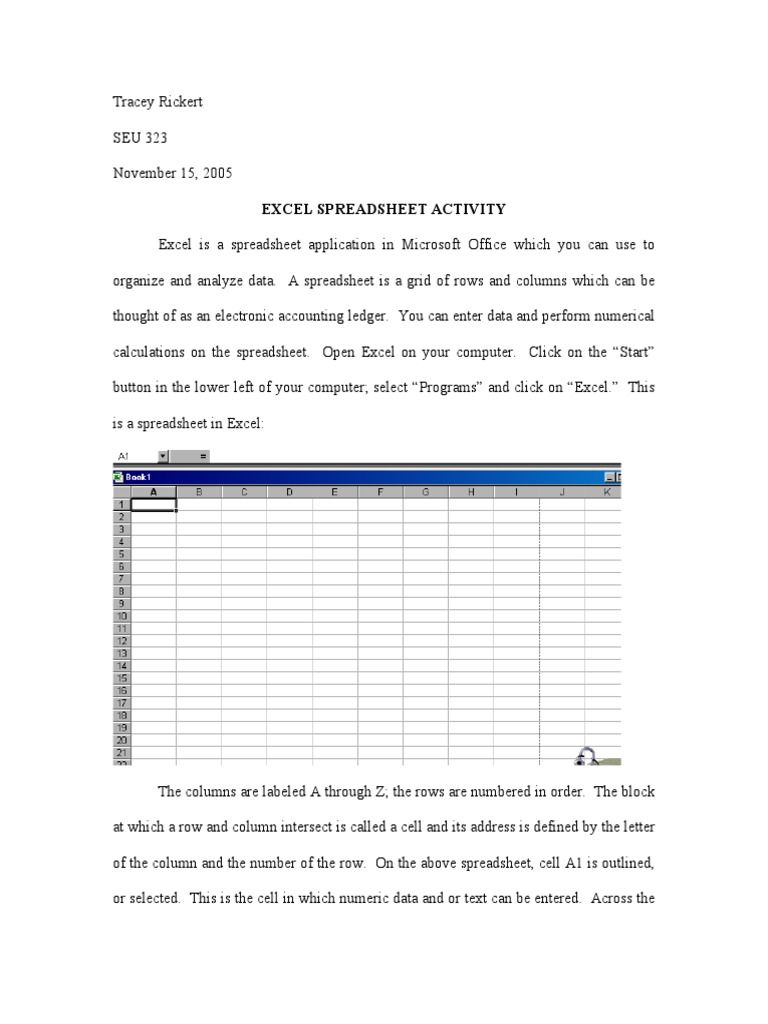 Excel Spreadsheet Activity | PDF | Spreadsheet | Microsoft Excel