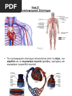TO ΟΥΡΟΠΟΙΗΤΙΚΟ ΣΥΣΤΗΜΑ-ΑΝΑΤΟΜΙΑ | PDF