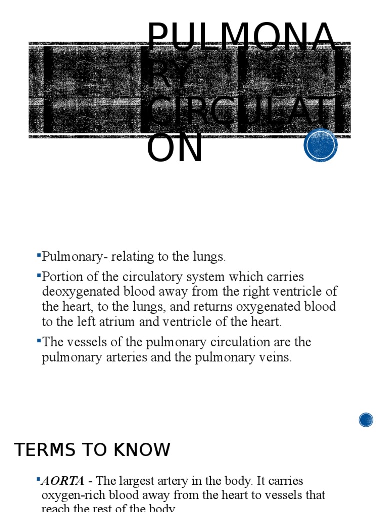 Pulmonary Circulation | PDF