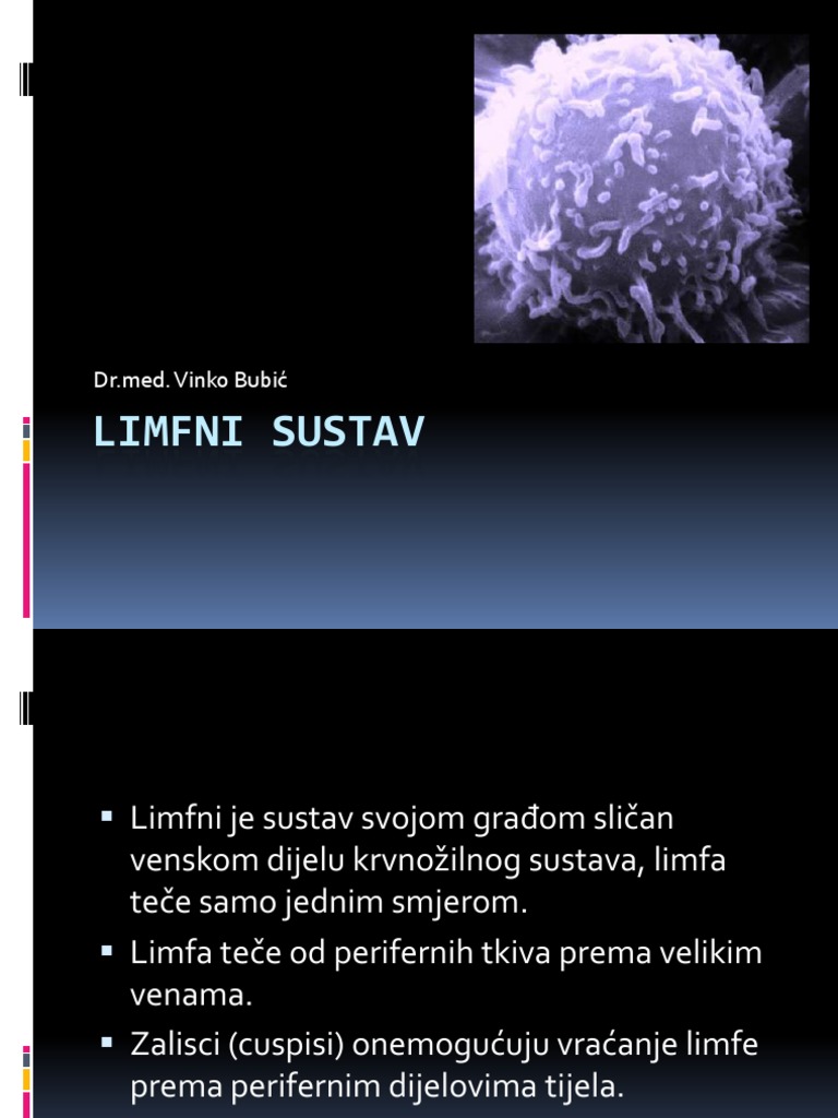 Limfni sustav