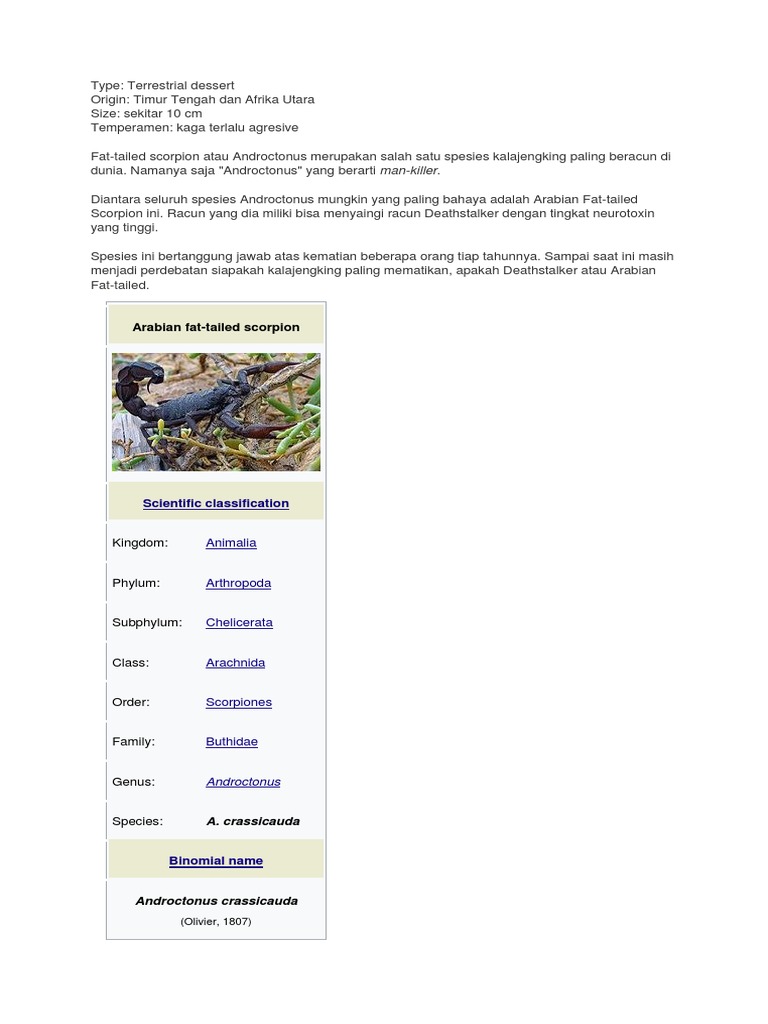 Arabian Fat-Tailed Scorpion: Scientific Classification | PDF
