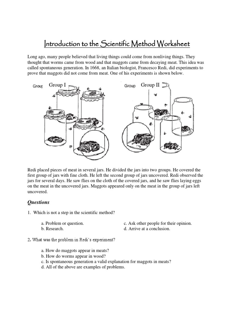Scientific Method Worksheet | PDF | Organisms | Science