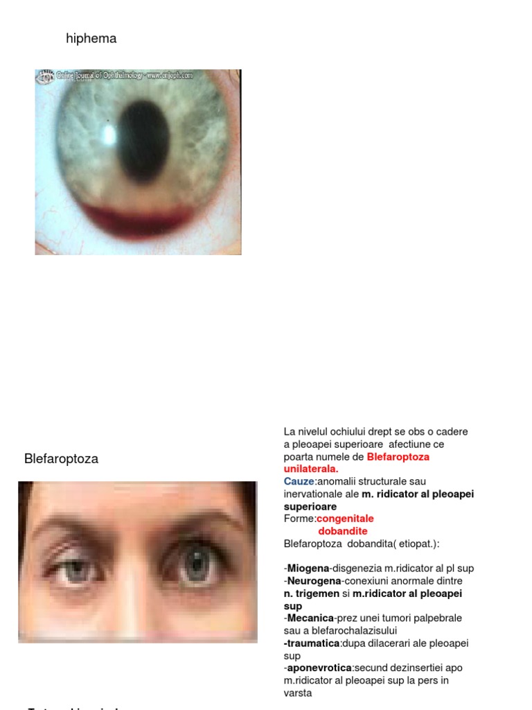 Fotografii Examen Bun+diagnostic+explicatii | PDF