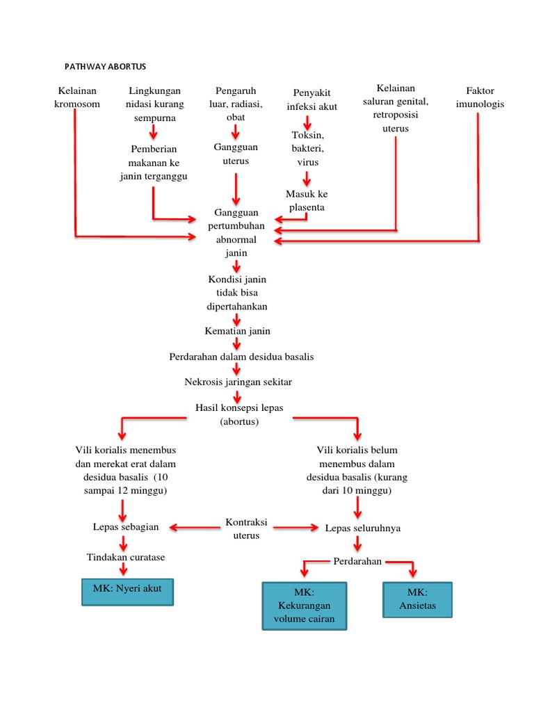 Pathway Abortus | PDF